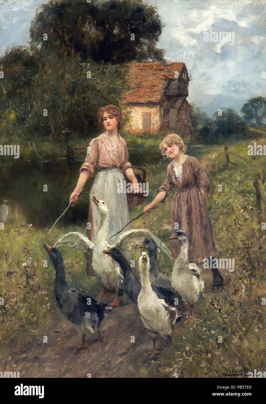 Herding Geese High Resolution Stock Photography and Images - Alamy