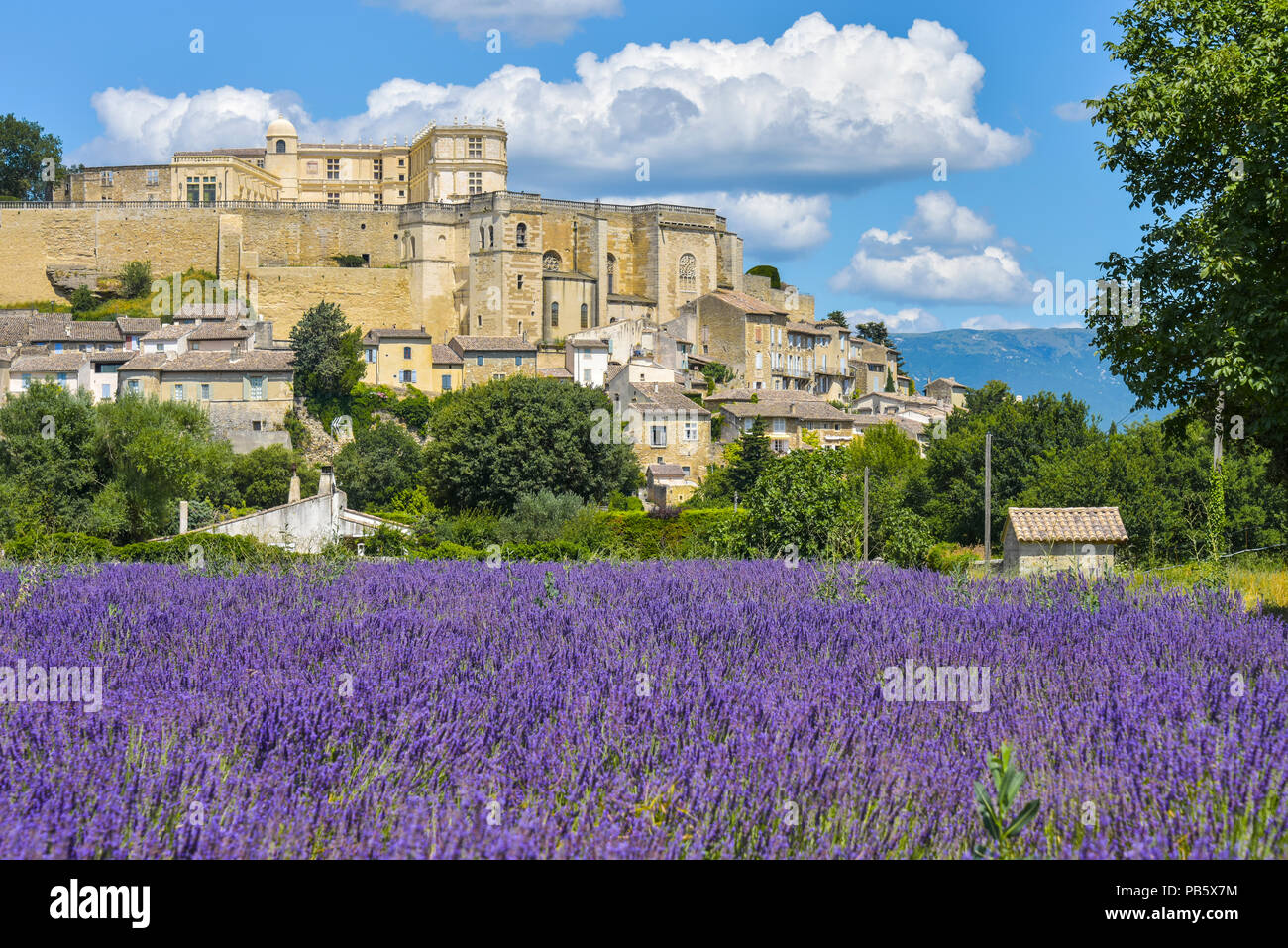 village Grignan situated on a hill with lavender, Provence, France ...