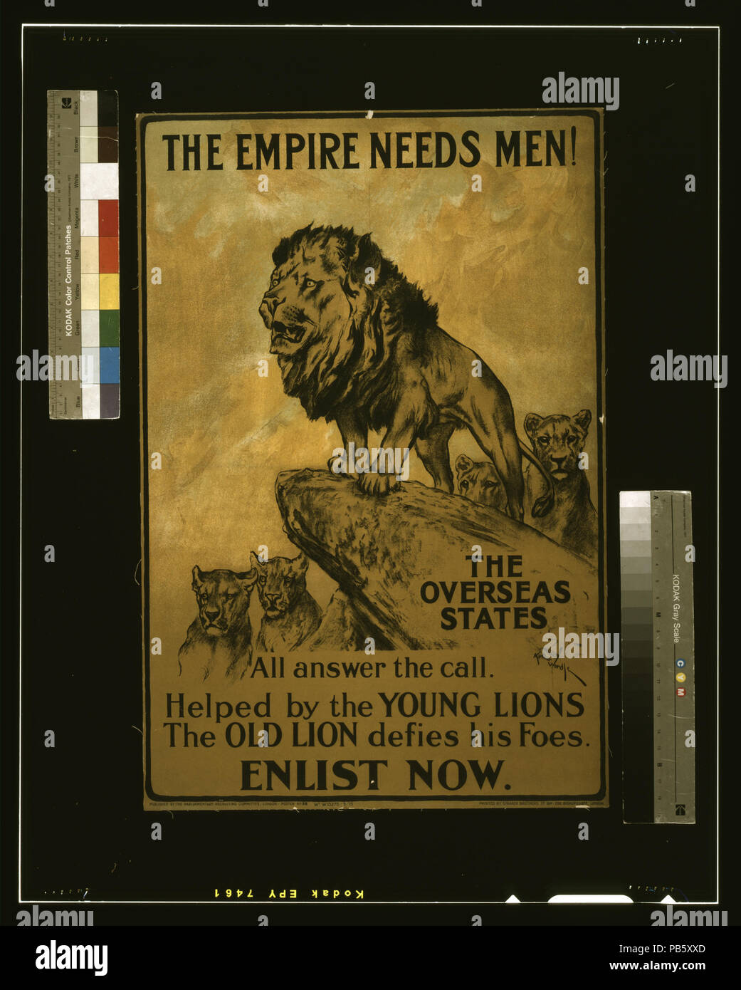 Helped by the young lions hi-res stock photography and images - Alamy