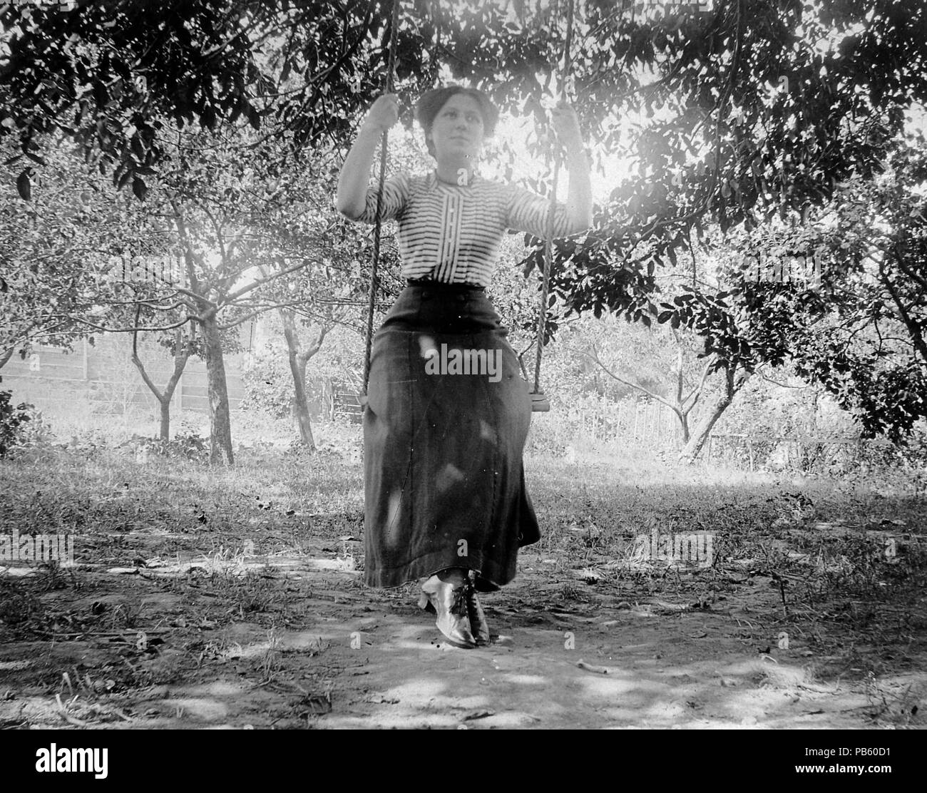 Early summer garden Black and White Stock Photos & Images - Alamy