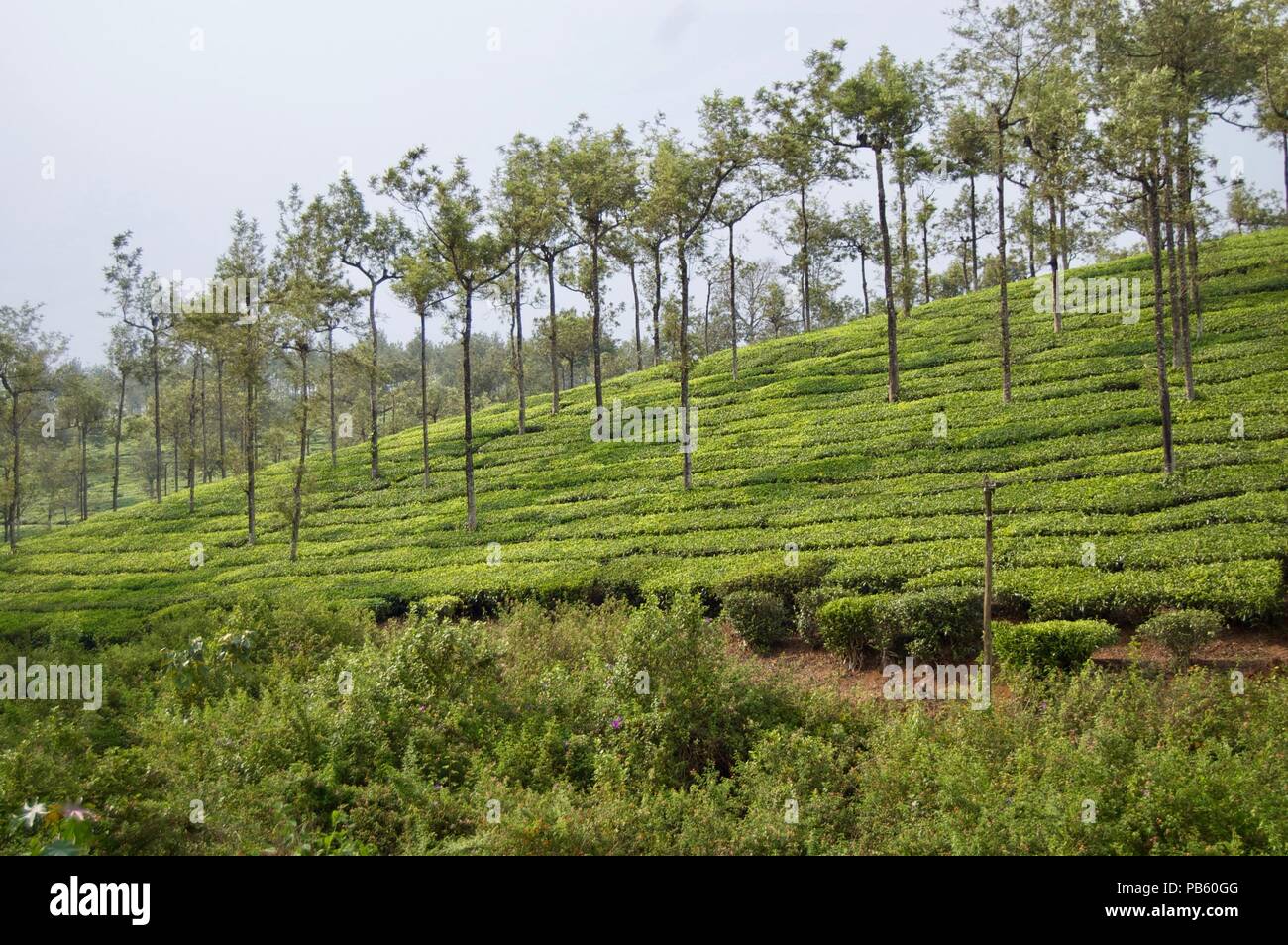 Clouds hill kerala view hi-res stock photography and images - Alamy