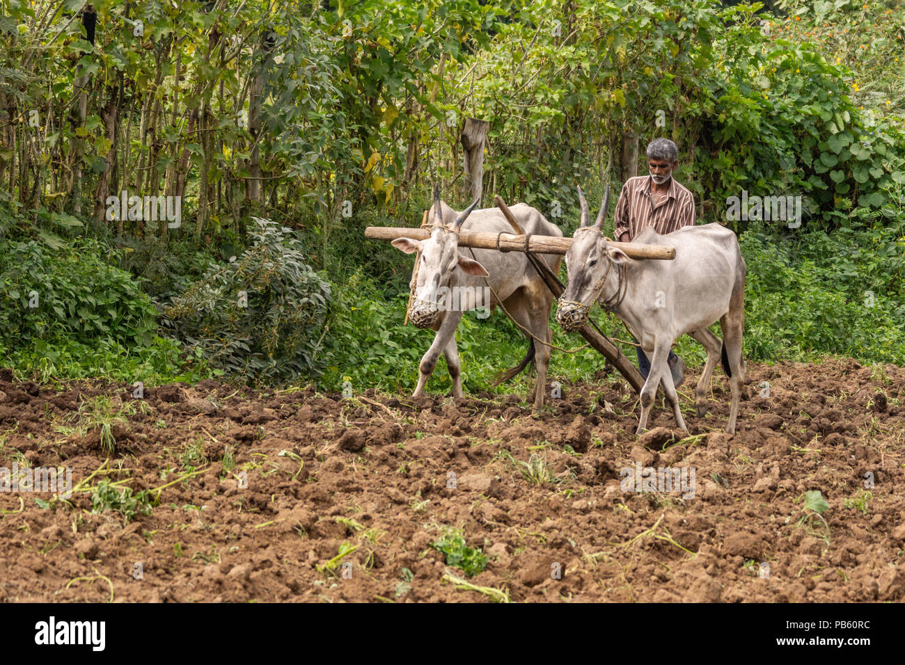 Man plows hi-res stock photography and images - Alamy