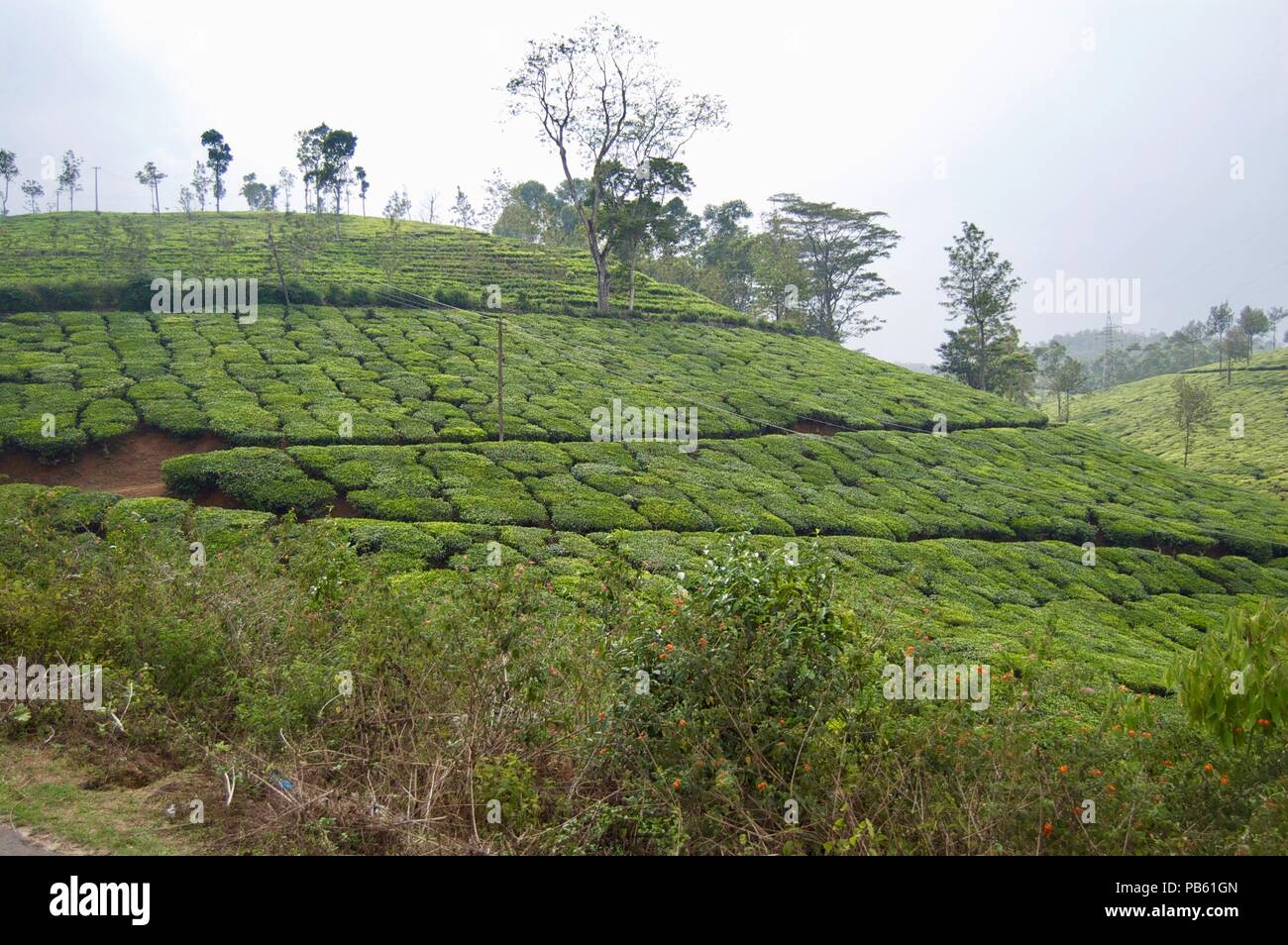 Rural india countryside hi-res stock photography and images - Alamy