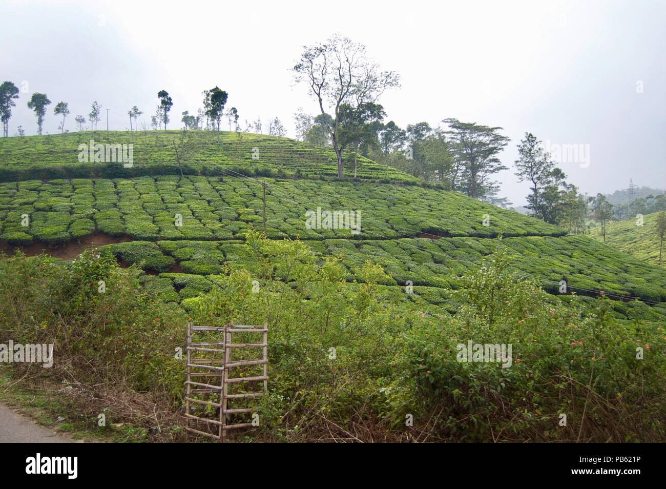 Rural kerala hi-res stock photography and images - Alamy