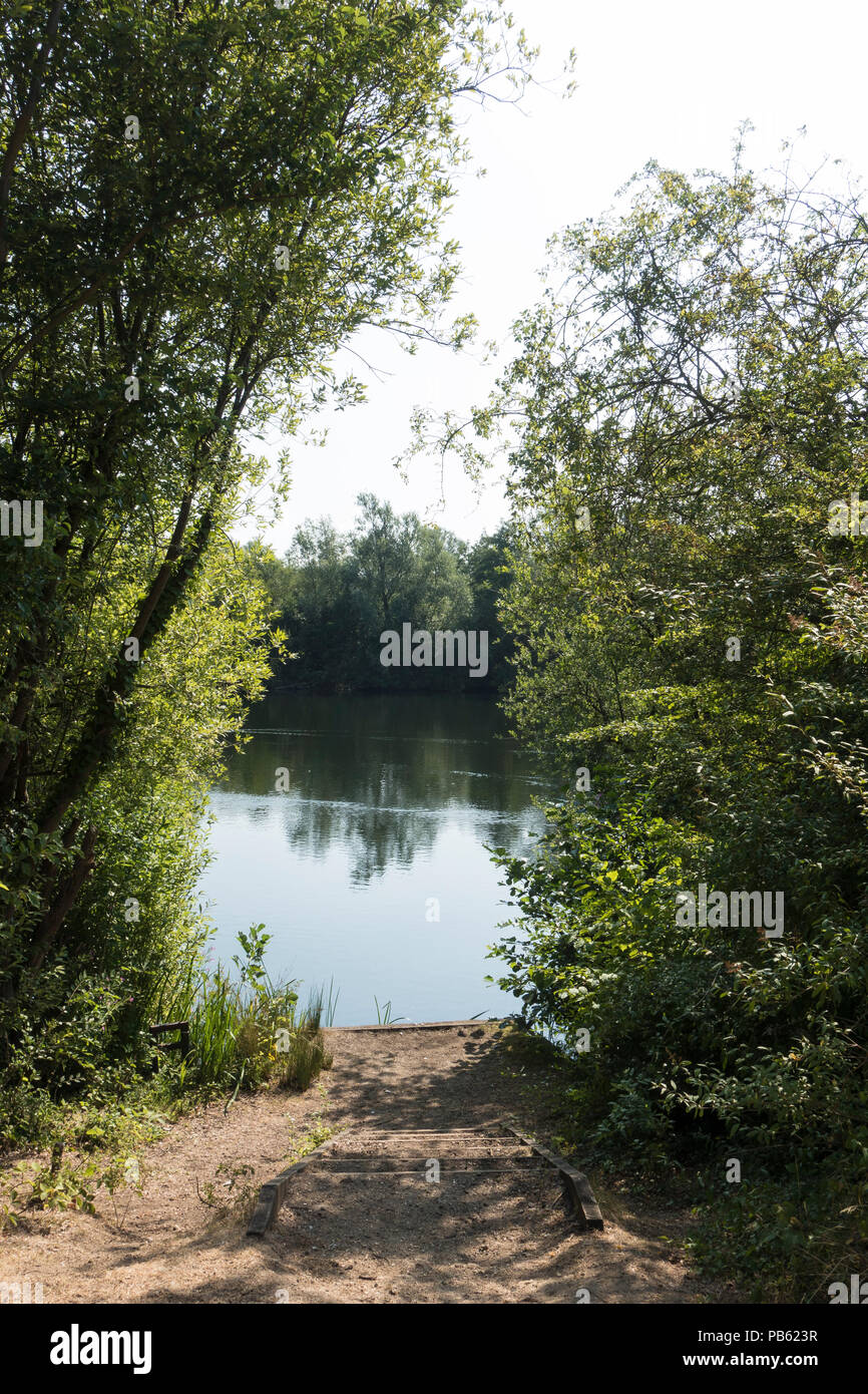 Trees with lake hi-res stock photography and images - Alamy