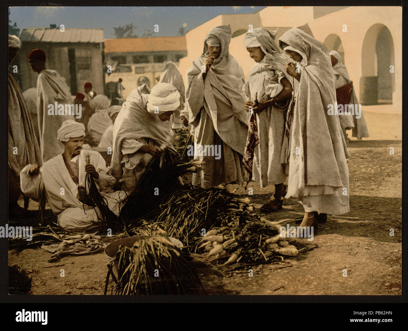 Biskra algeria hi-res stock photography and images - Alamy