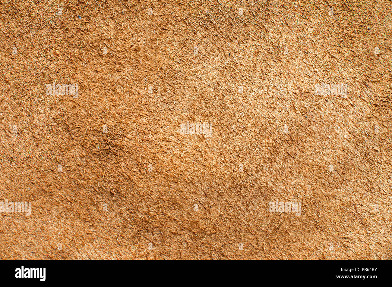 Backside of natural brown leather surface texture closeup as background ...