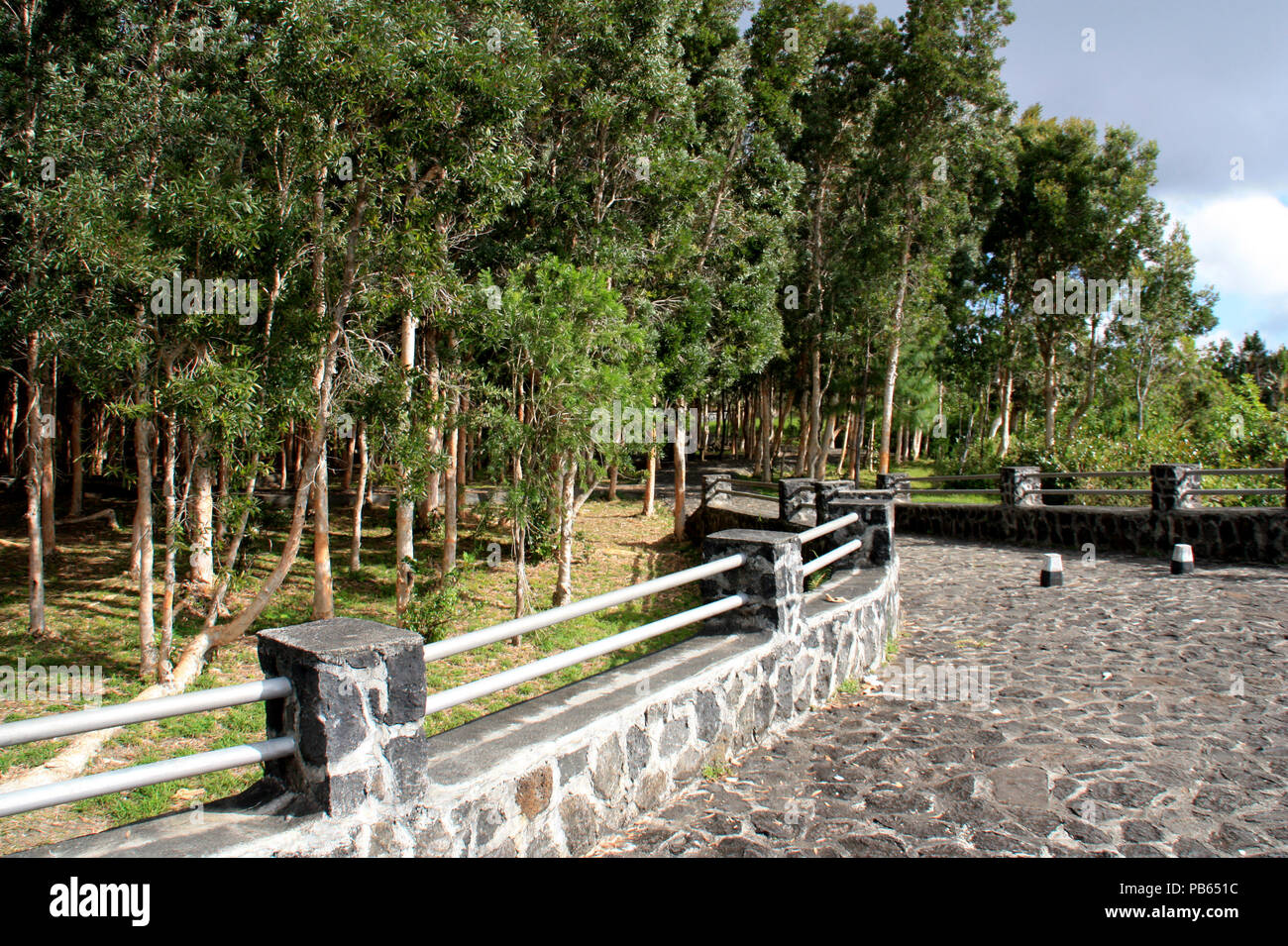 Tree lined walkway from the parking lot to the observation point at the ...