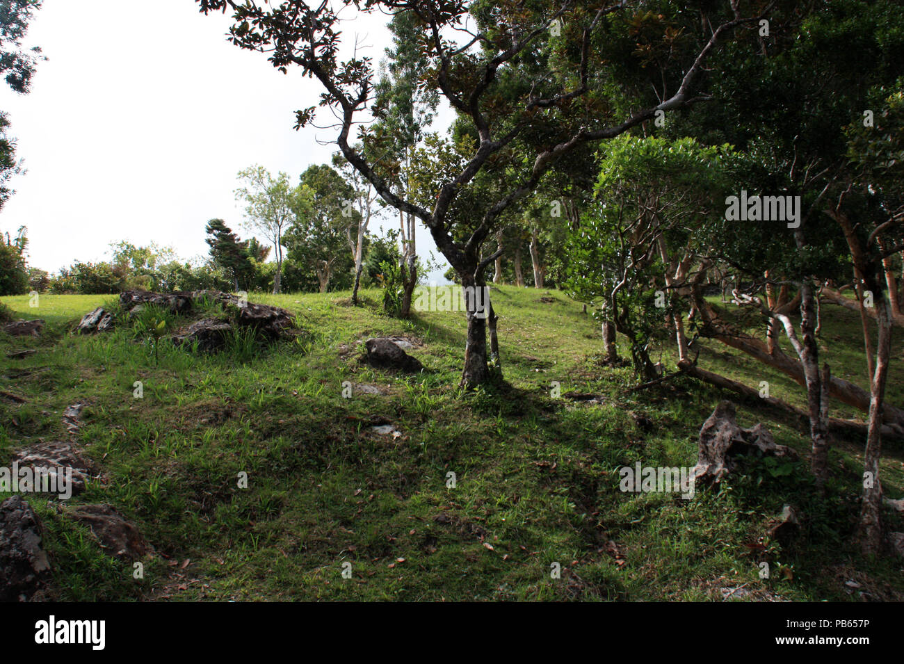 Black river mountain in mauritius hi-res stock photography and images ...