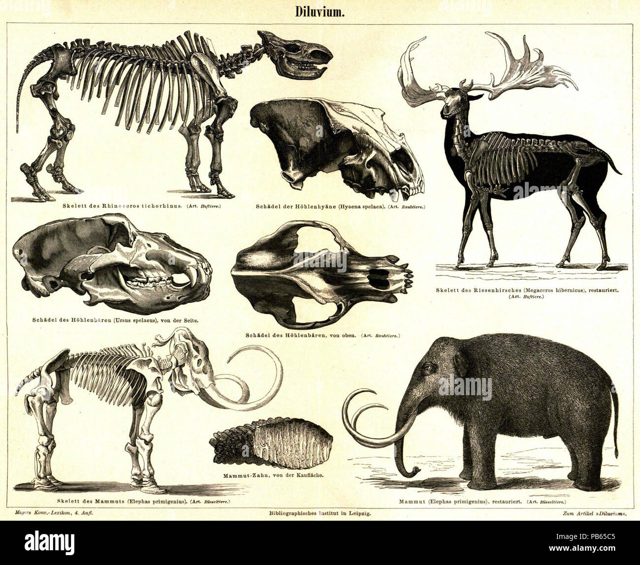 Diluvium hi-res stock photography and images - Alamy