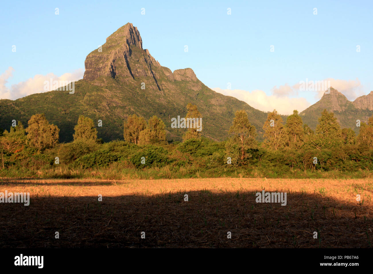 Tamarin mauritius hi-res stock photography and images - Alamy