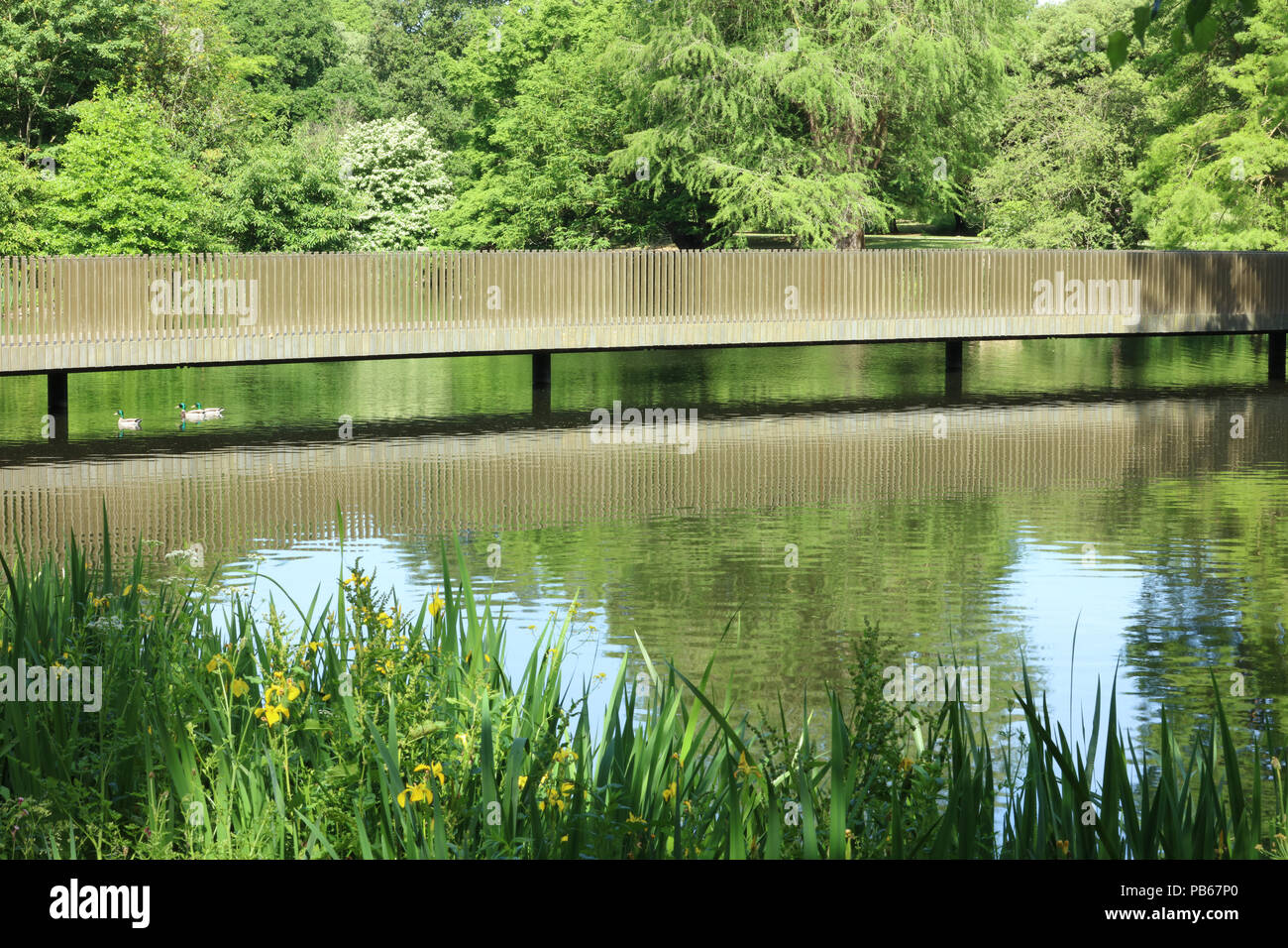 Pedestrian bridge at Kew Gardens opened May 2006. Architectural design ...