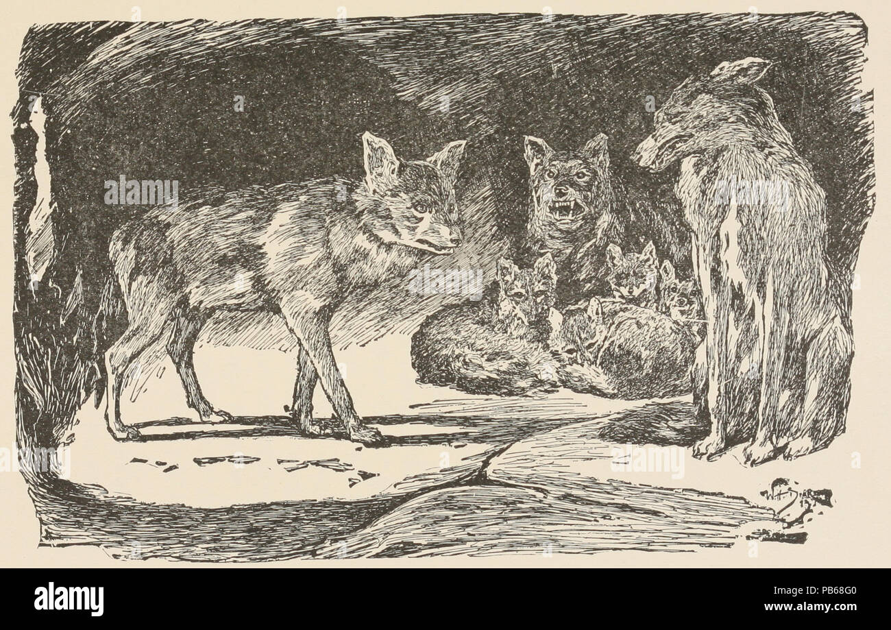 Chief good hi-res stock photography and images - Alamy