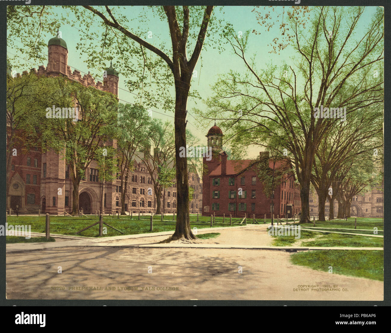 1186 Phelps Hall and Lyceum, Yale College-LCCN2008679551 Stock Photo ...