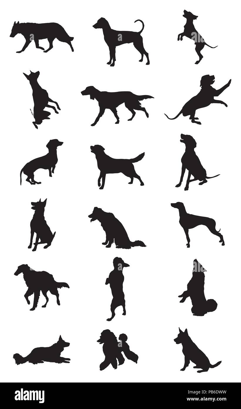 Vector set of monochrome different breeds dogs silhouettes in motion ...