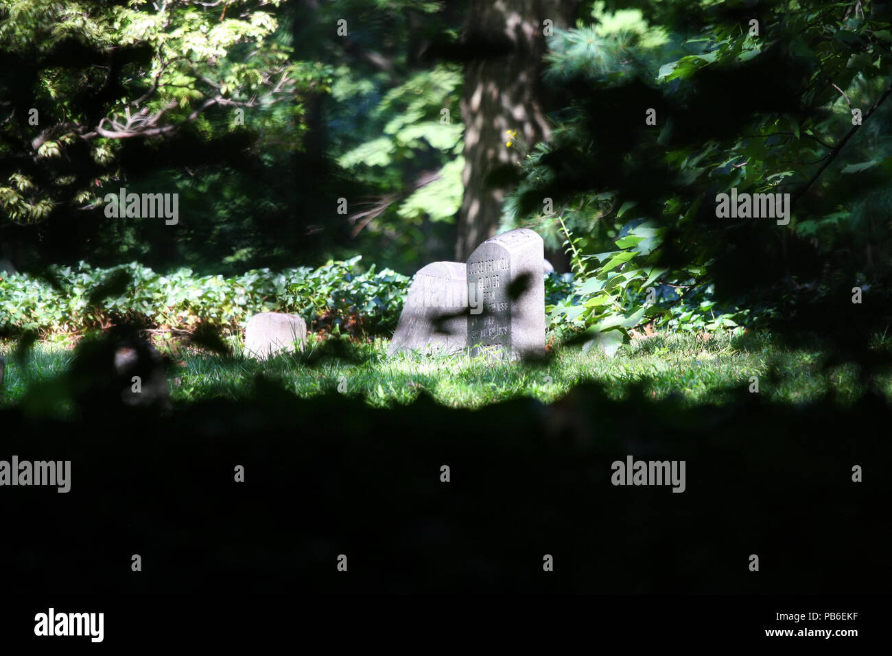 NEW YORK, NY - AUGUST 16: Friends Quaker Cemetery is a resting place of ...