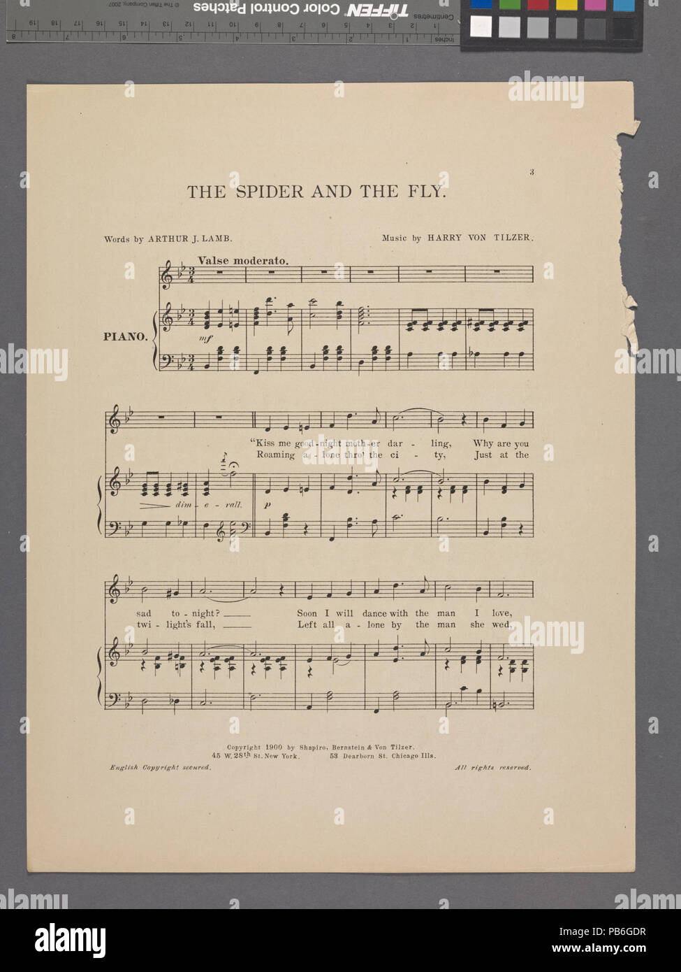 1702 The spider and the fly (NYPL Hades-609028-1945578 Stock Photo - Alamy