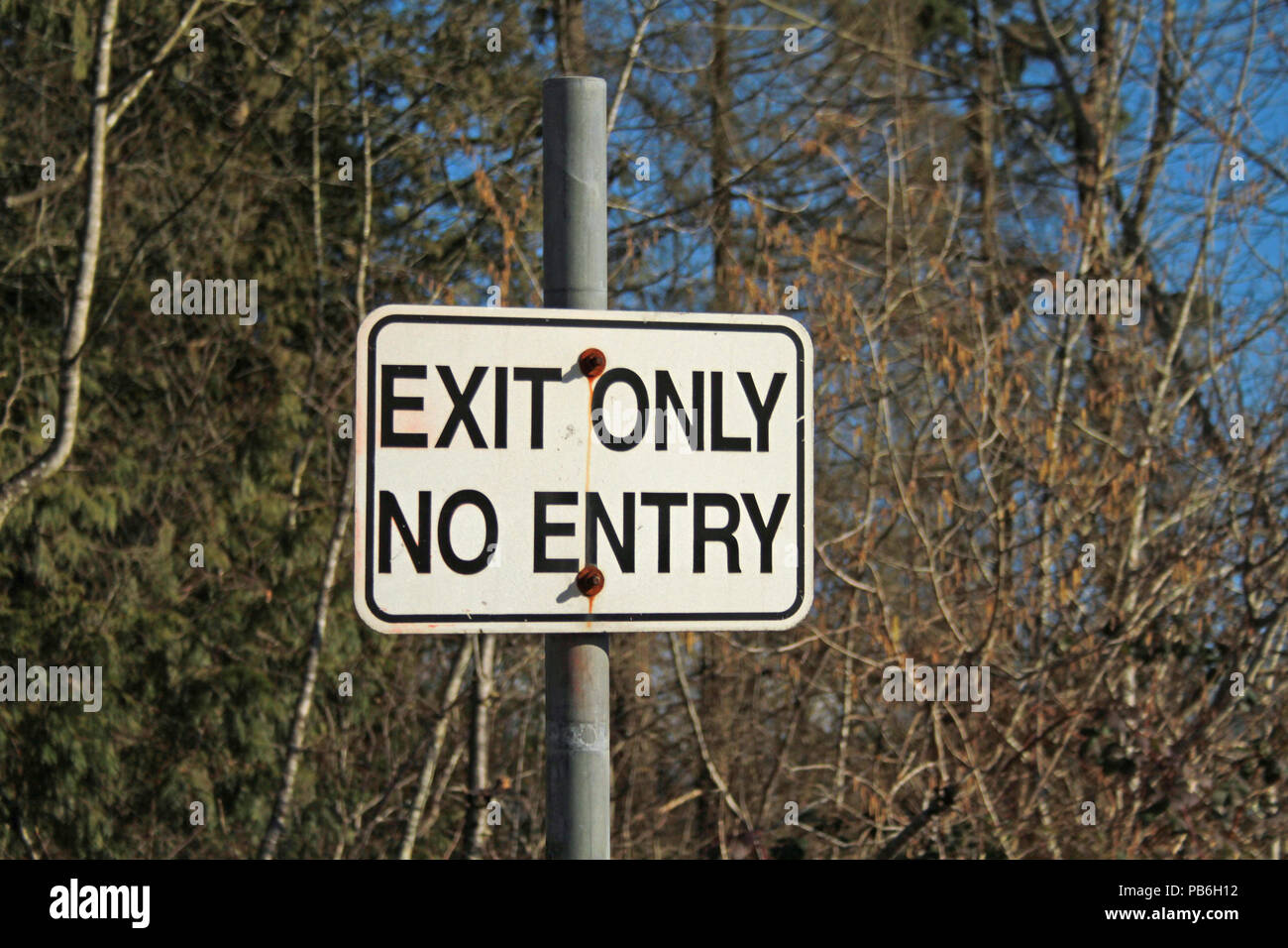 exit only no entry sign on a pole Stock Photo - Alamy