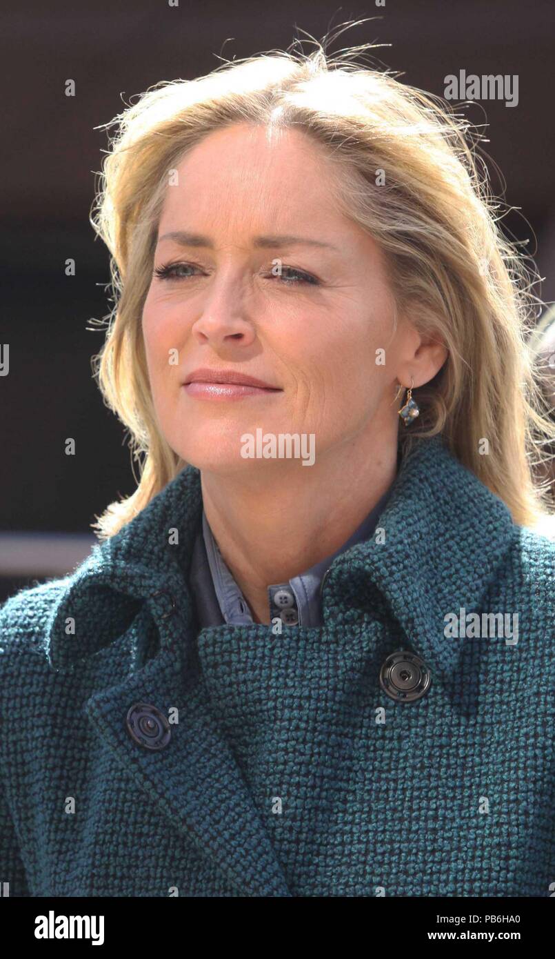 Sharon Stone 2010 Photo By John Barrett/PHOTOlink.net Stock Photo - Alamy
