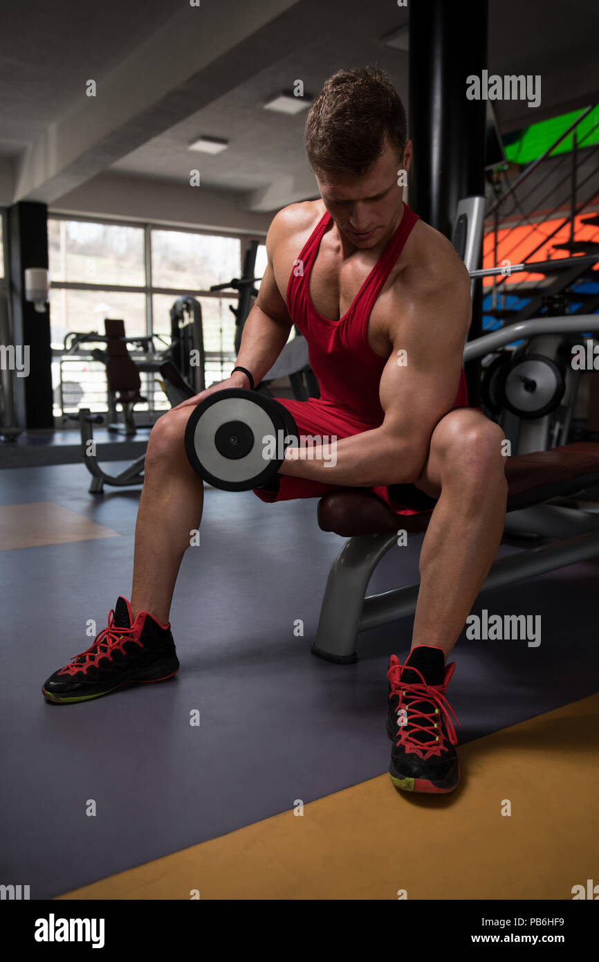 Athlete Working Out Biceps In A Gym - Dumbbell Concentration Curls ...