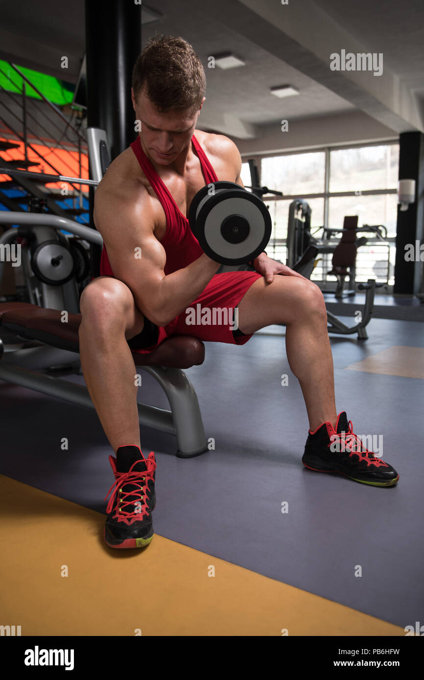 Man Working Out Biceps In A Gym - Dumbbell Concentration Curls Stock ...