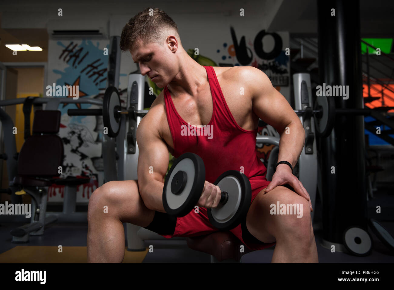 Athlete Working Out Biceps In A Gym - Dumbbell Concentration Curls ...