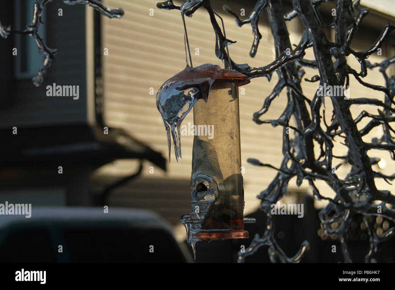 Ice coated bird feeder and branches after a storm of freezing rain ...