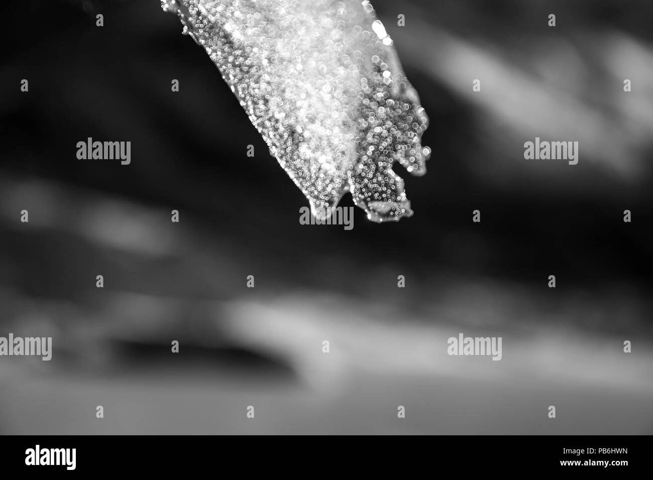 Ice broken up Black and White Stock Photos & Images - Alamy