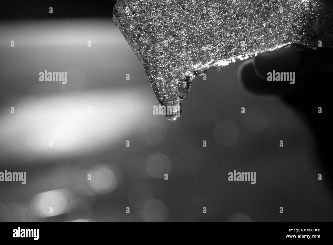 Hand holding up blue Black and White Stock Photos & Images - Alamy