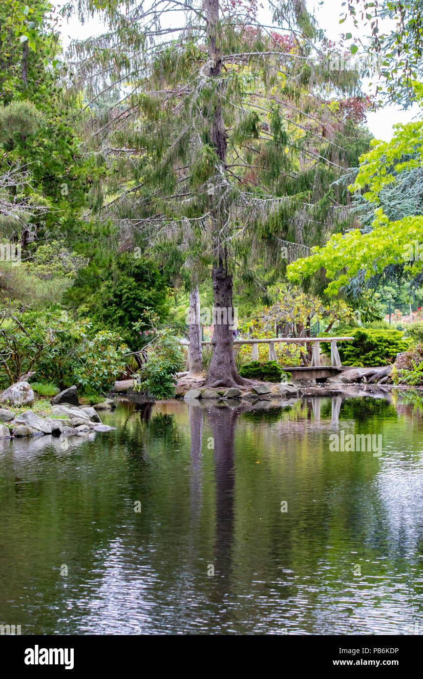 Narrow shallow river running hi-res stock photography and images - Alamy