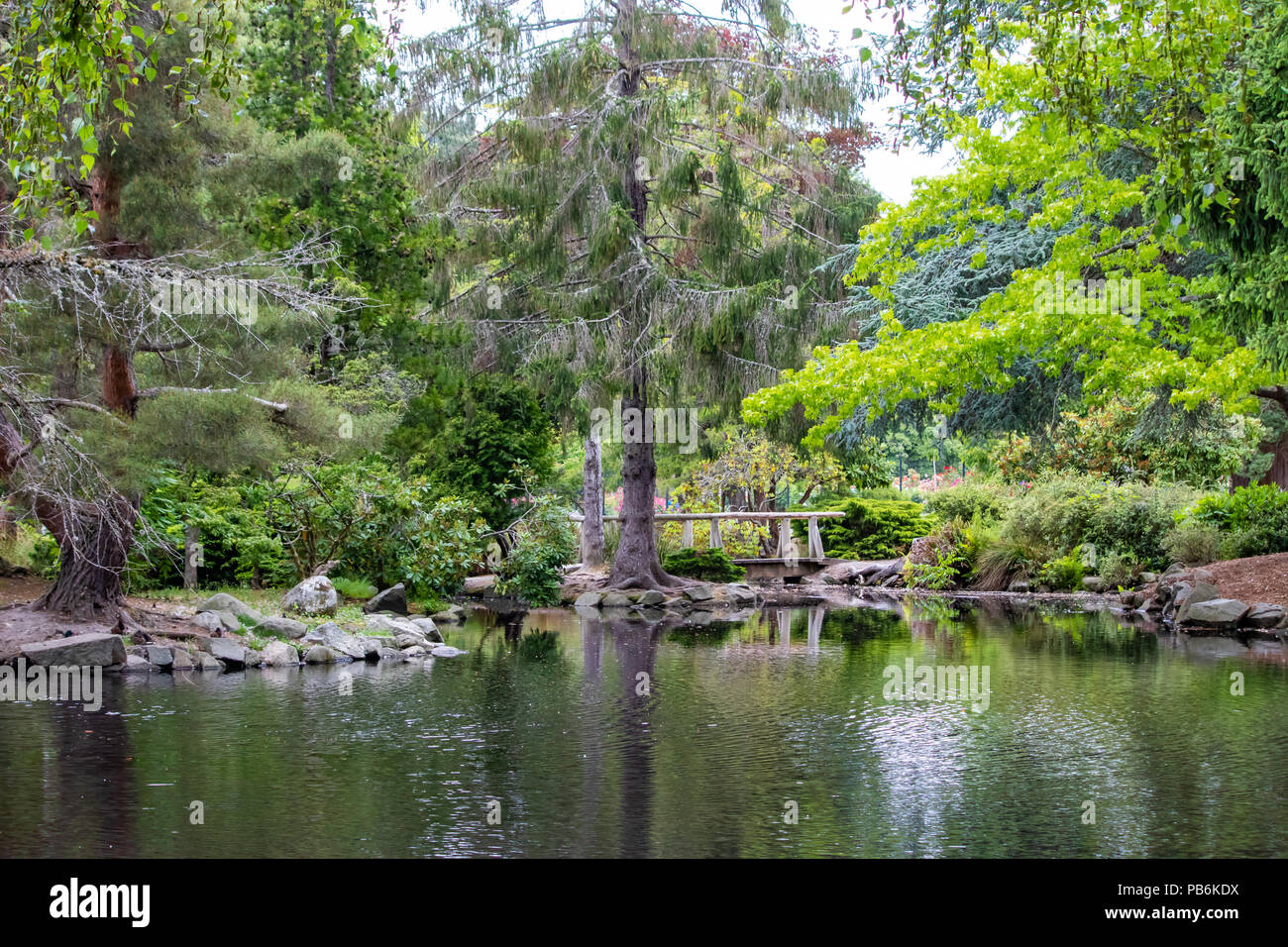 narrow shallow river running through a green park Stock Photo - Alamy