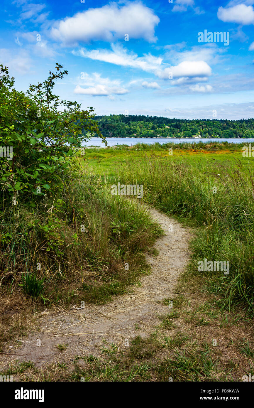 The path leading through tall grass hi-res stock photography and images ...