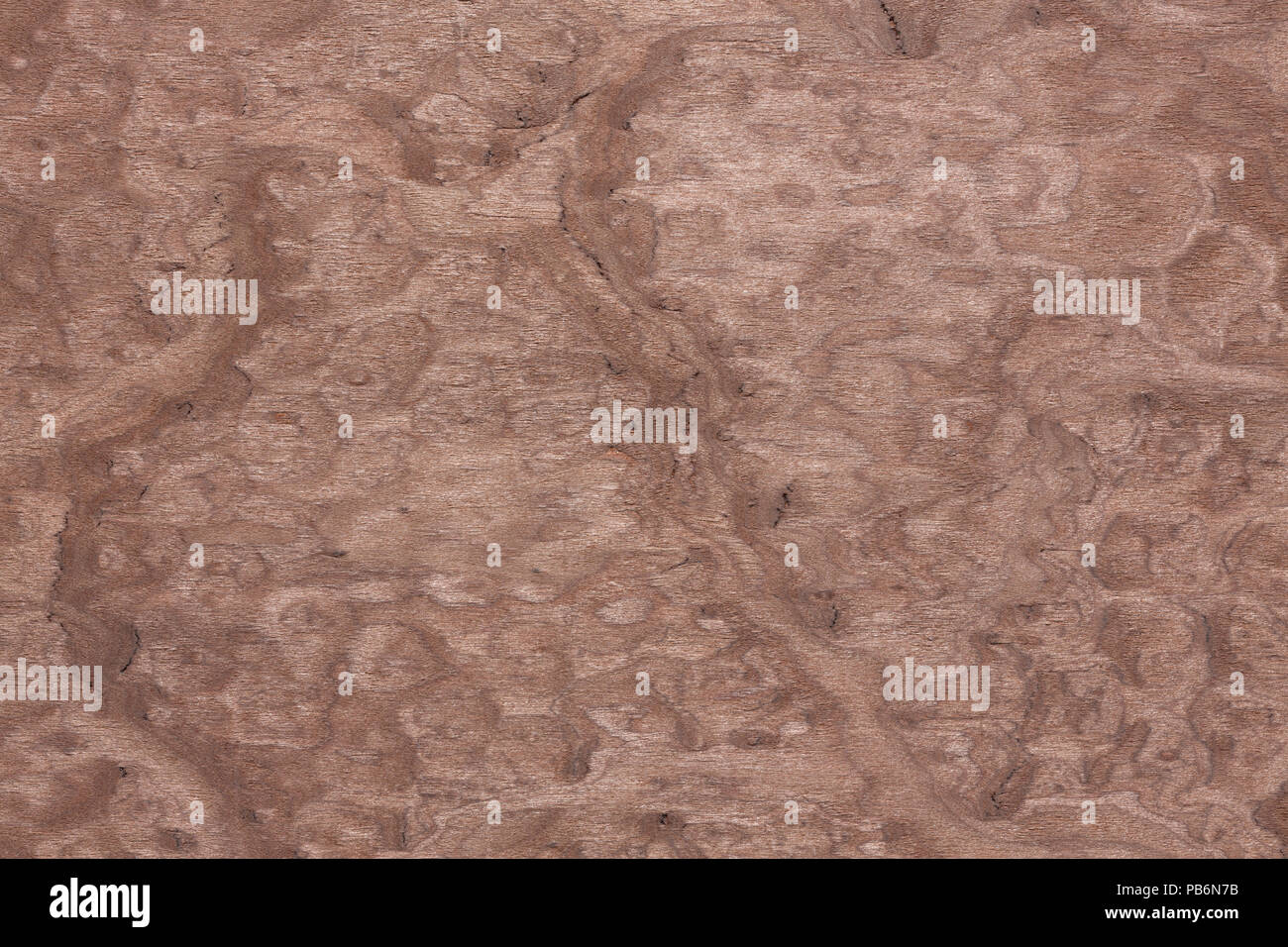 Excellent natural veneer texture in beige tone Stock Photo - Alamy