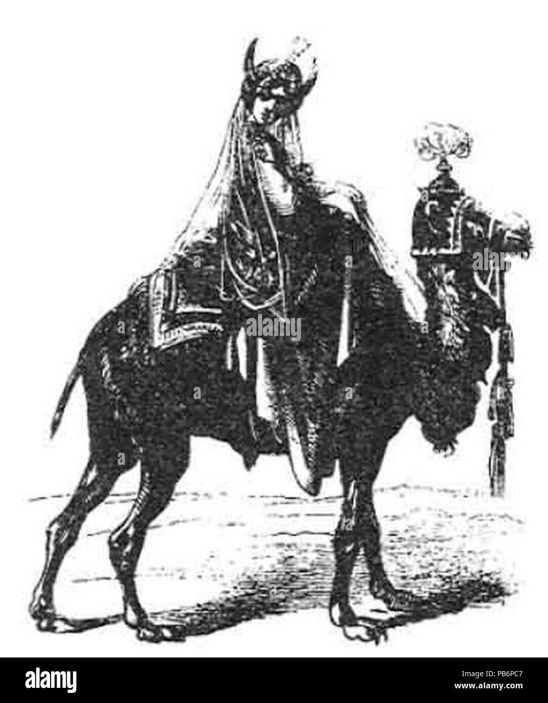 730 Cut Out Stock Images & Pictures - Alamy