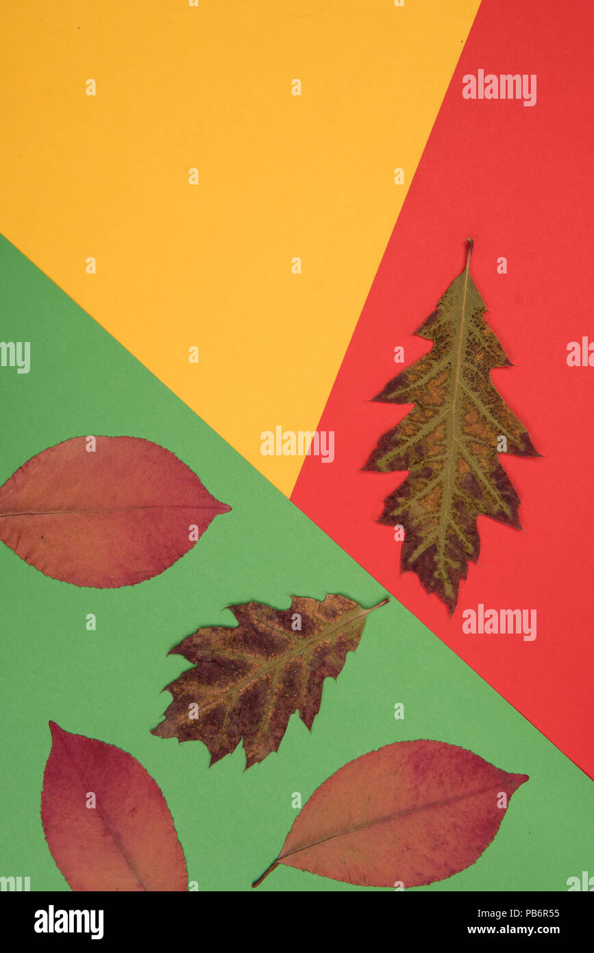 Autumn background with space for text Stock Photo - Alamy