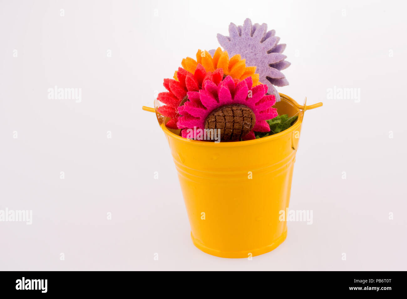 Different color flowers in bucket on white background Stock Photo - Alamy