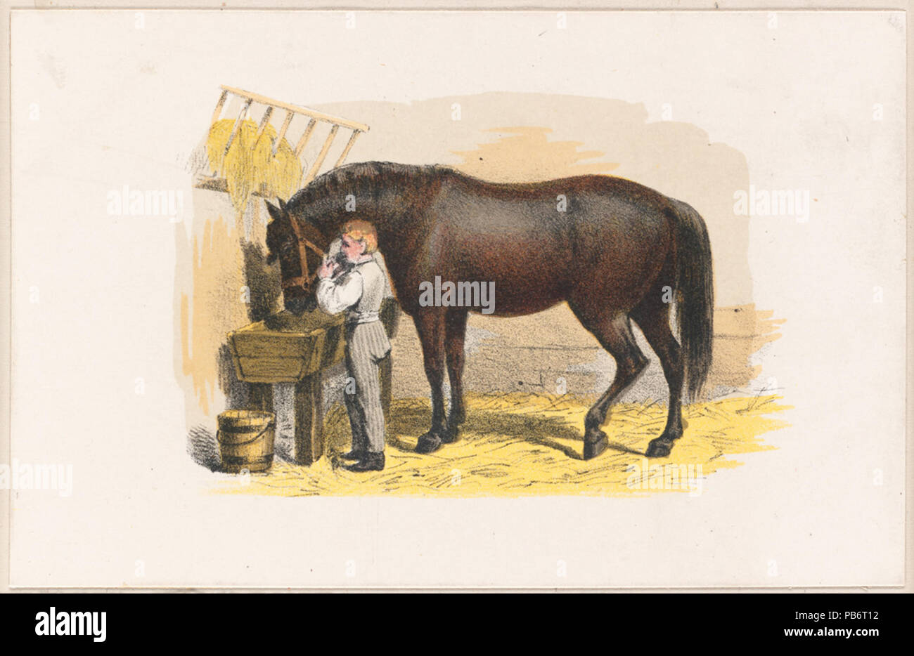 Detailed horse depiction hi-res stock photography and images - Alamy