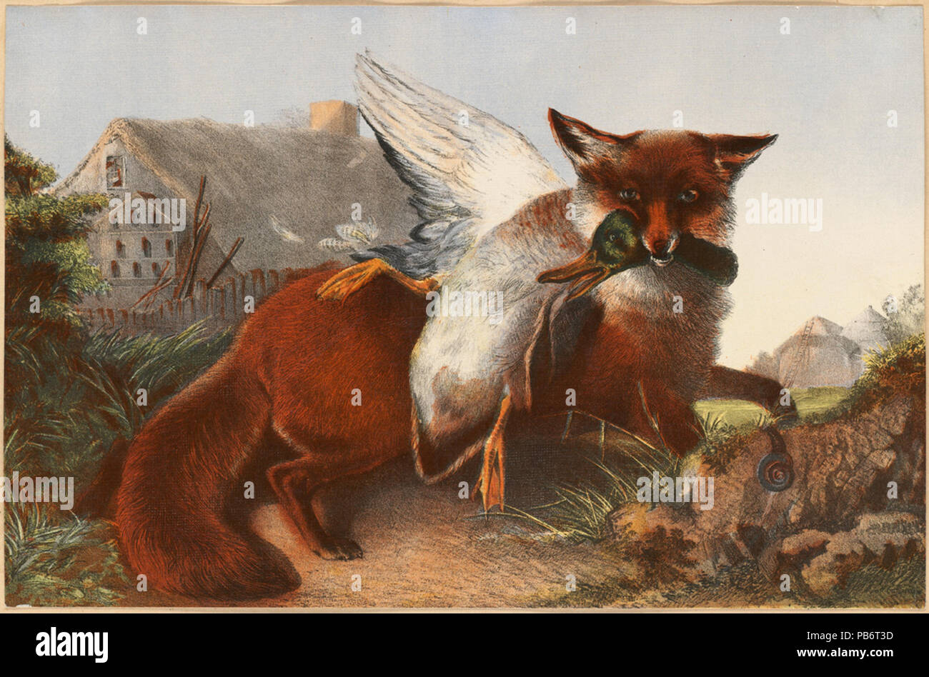 What was caught hi-res stock photography and images - Alamy