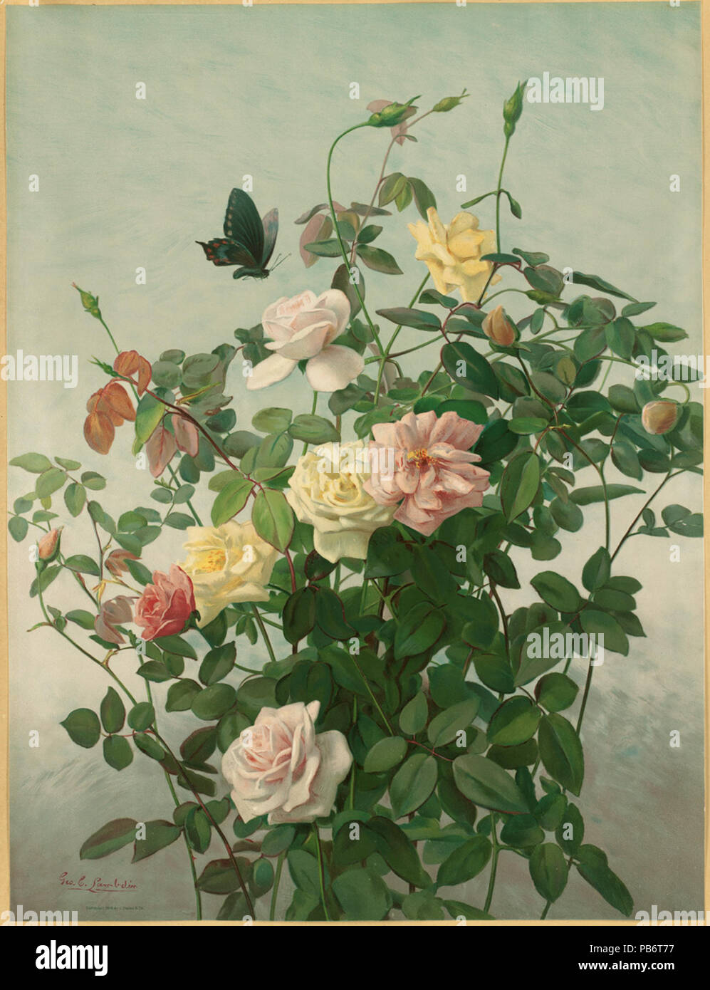 June morning hi-res stock photography and images - Alamy