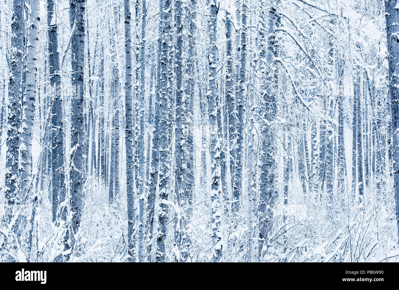 Abstract snow patterns hi-res stock photography and images - Alamy