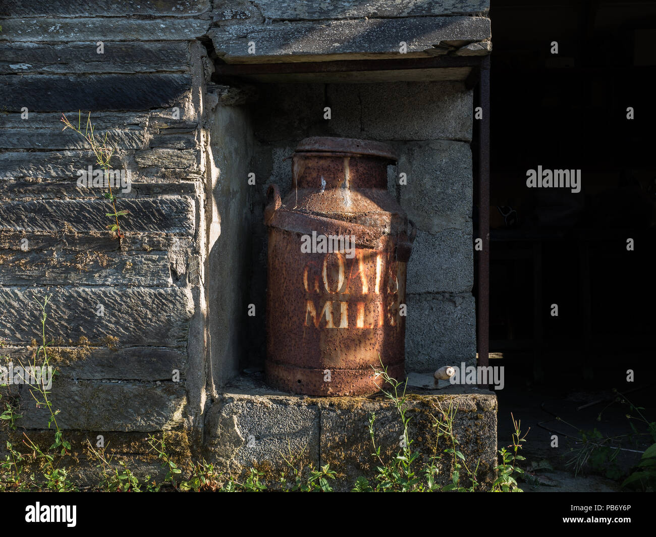Rusty goats milk churn in barn Stock Photo - Alamy