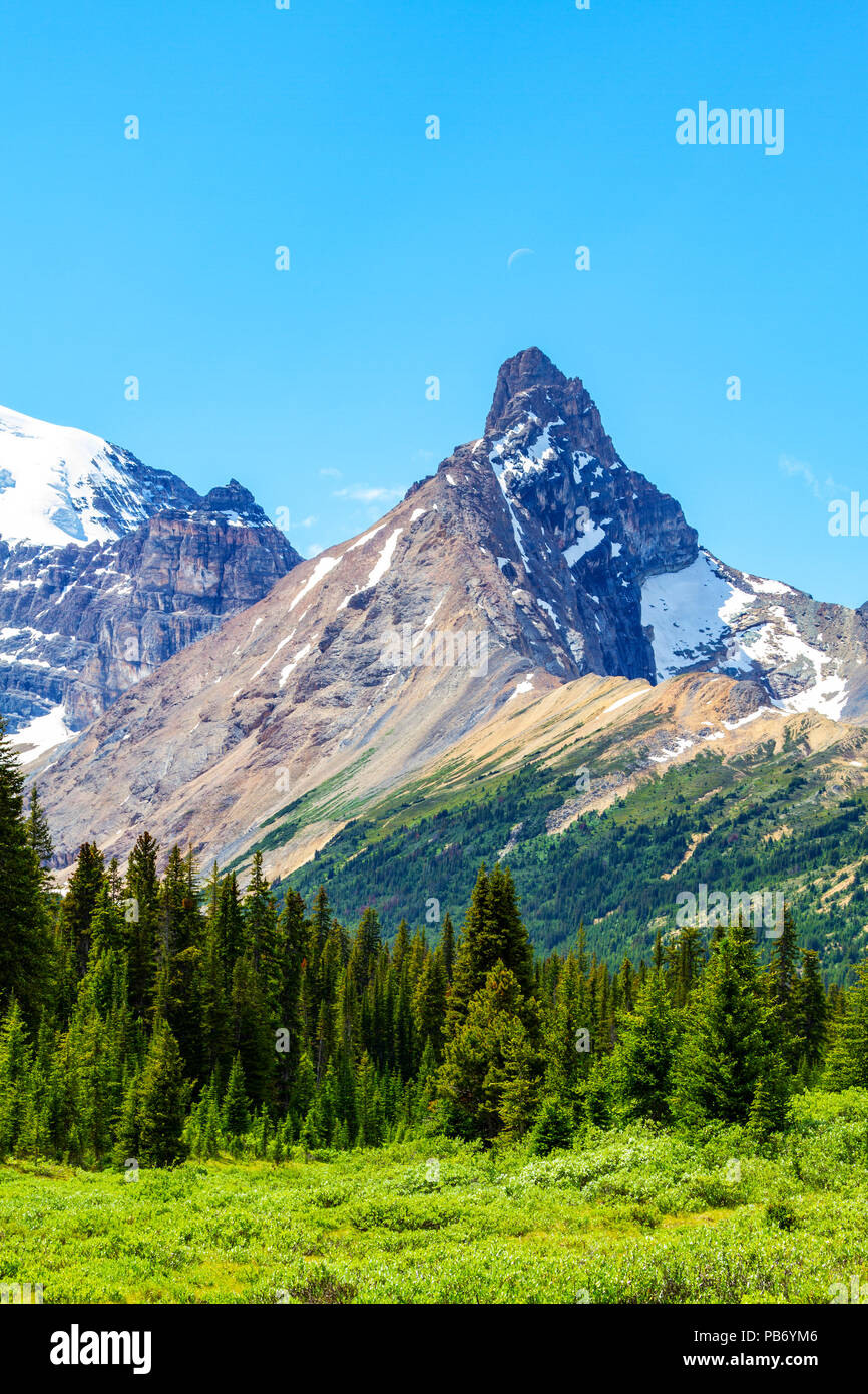 Hilda Peak as viewed from Parker Ridge hiking trail in Jasper National ...