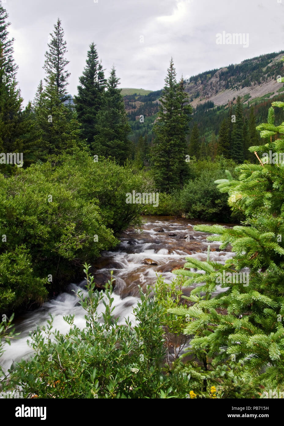 Rocky mountains national forest hi-res stock photography and images - Alamy