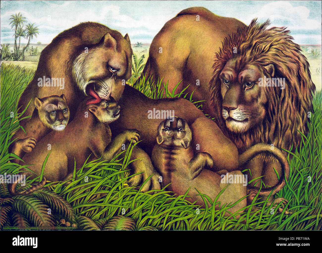 The lion 1874 hi-res stock photography and images - Alamy