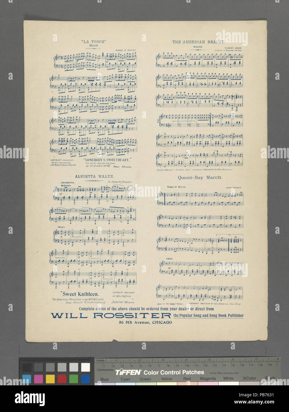 Darkey High Resolution Stock Photography and Images - Alamy