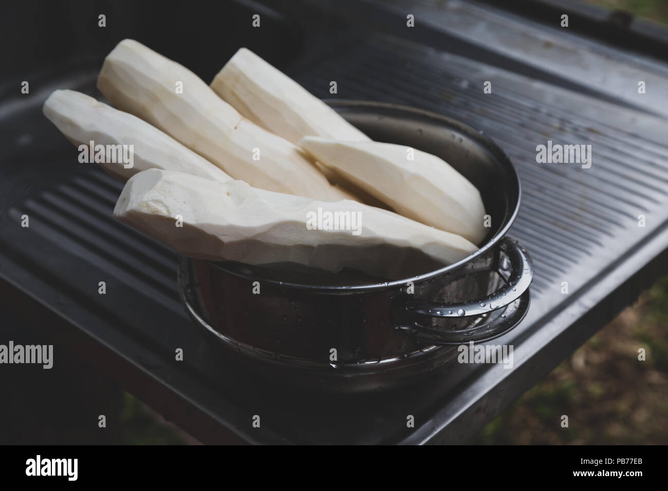 Cassava (Manihot esculenta) (Spanish: mandioca, Guarani: mandi'o ...