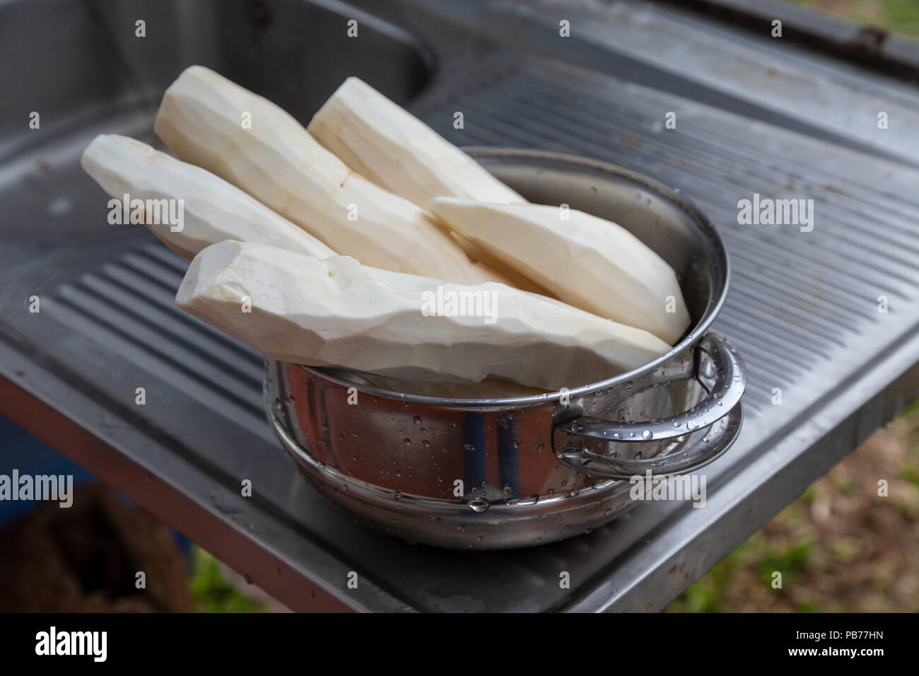 Cassava manihot esculenta peeled roots hi-res stock photography and ...