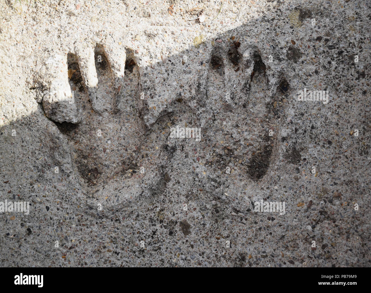 Adult´s handprints set in concrete forever Stock Photo - Alamy