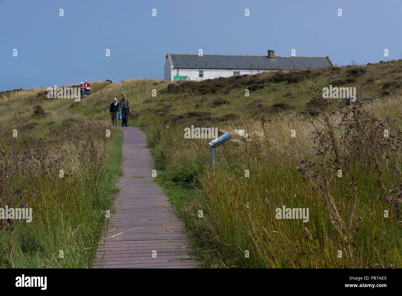 Reserve mull of galloway hi-res stock photography and images - Alamy