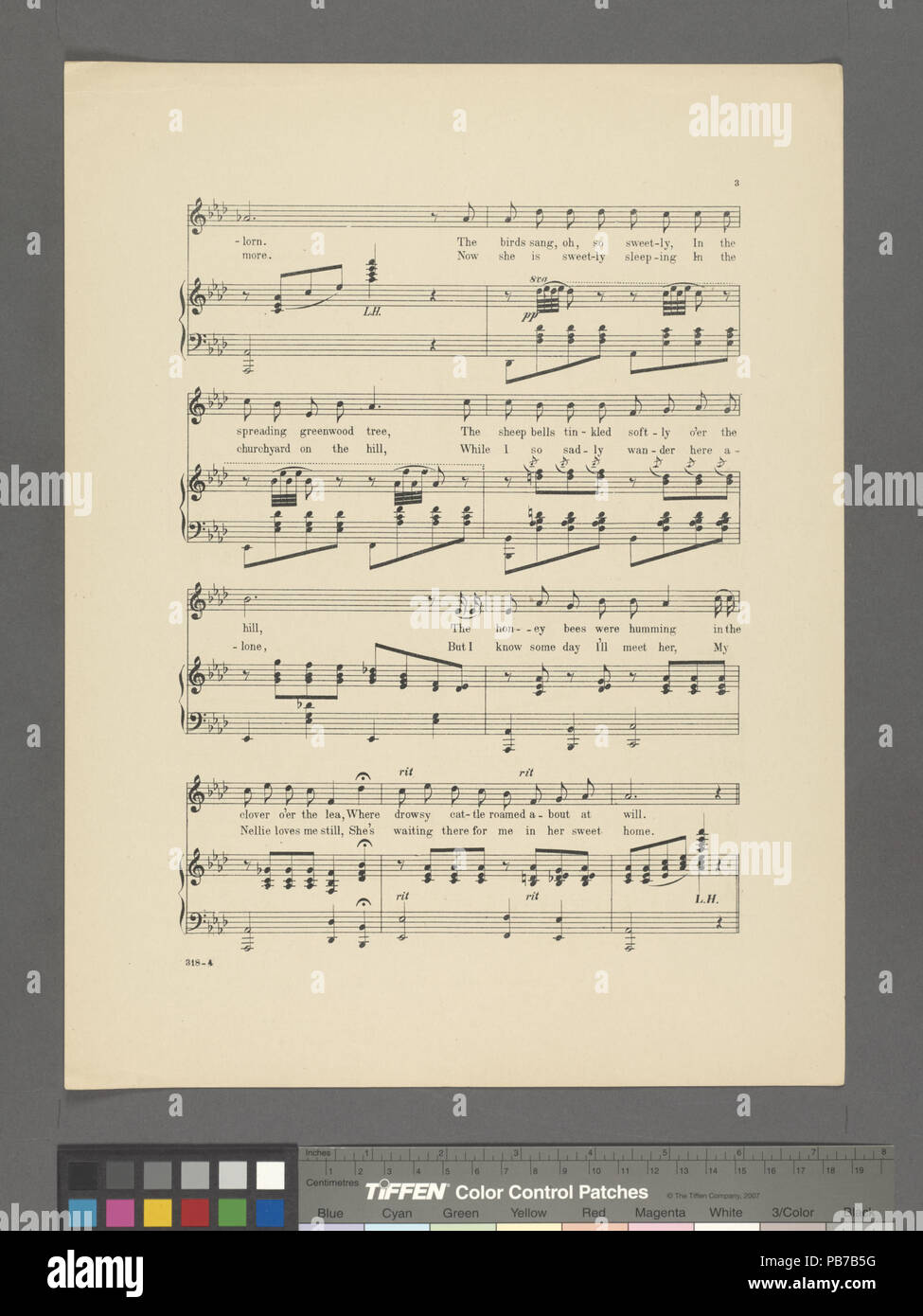 Home like setting hi-res stock photography and images - Alamy